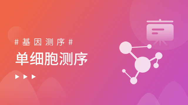 科研服务-解螺旋-中国临床医生科研成长平台